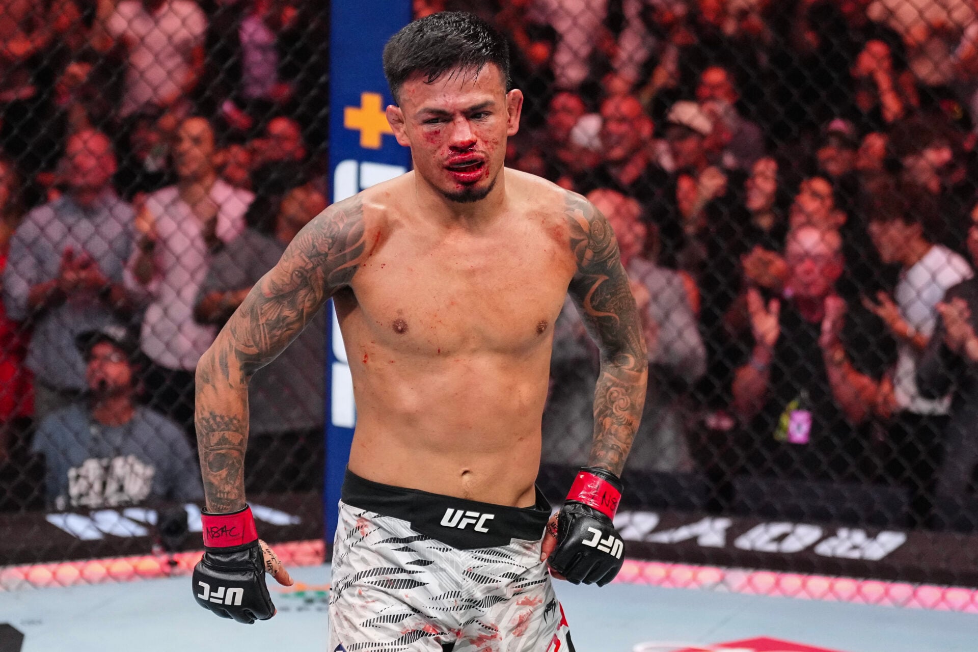 Brandon Royval Stays Defiant After Brutal UFC Vegas 112 KO Loss ...